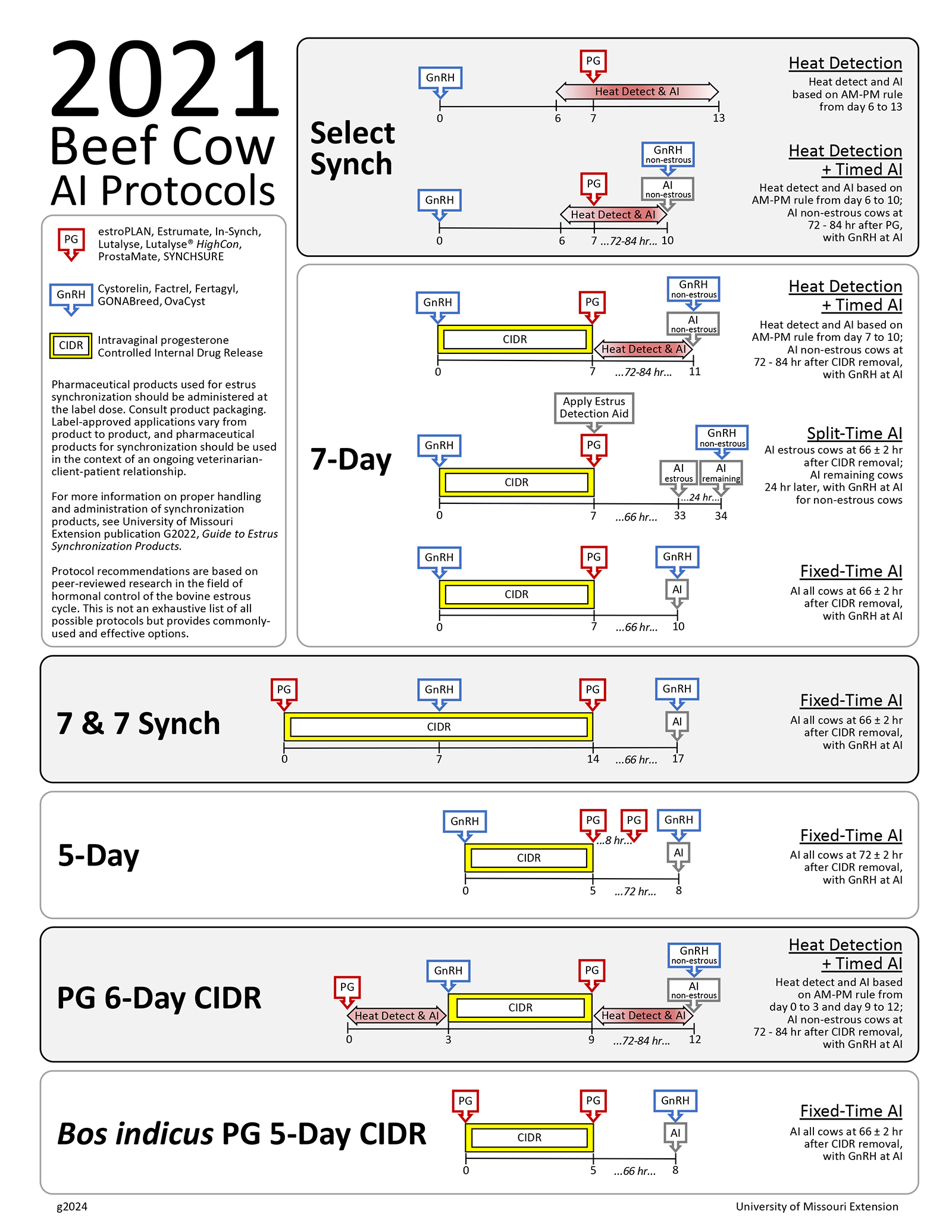 Beef Cow Synch Protocols - Accelerated Genetics